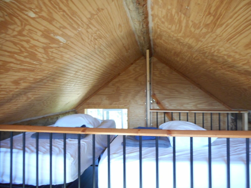 Experience True Alaska Secluded Cabin Just 15 Minutes From Denali National Park. - Denali National Park and Preserve