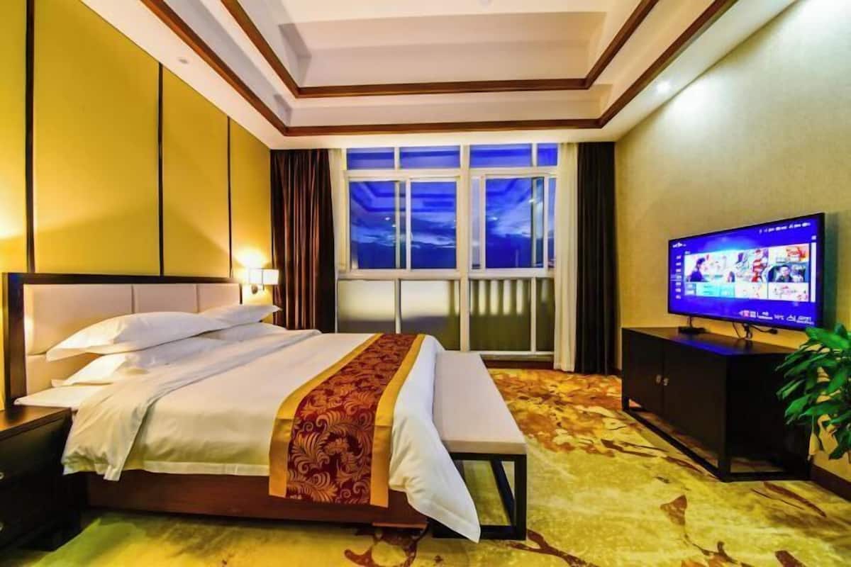 Quarto de hotel com cama, televisão, janela com cortinas e uma planta.