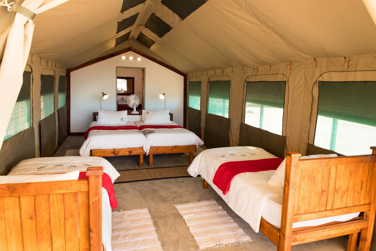 Quarto de alojamento tipo tenda com duas camas de madeira, cada uma com roupa de cama branca e um cobertor vermelho. Há duas luminárias de mesa e um espelho na parede.