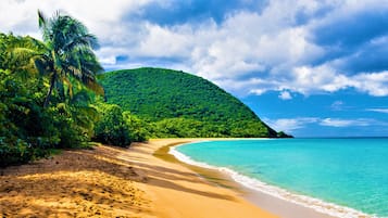 Perto da praia, windsurf, bares na praia