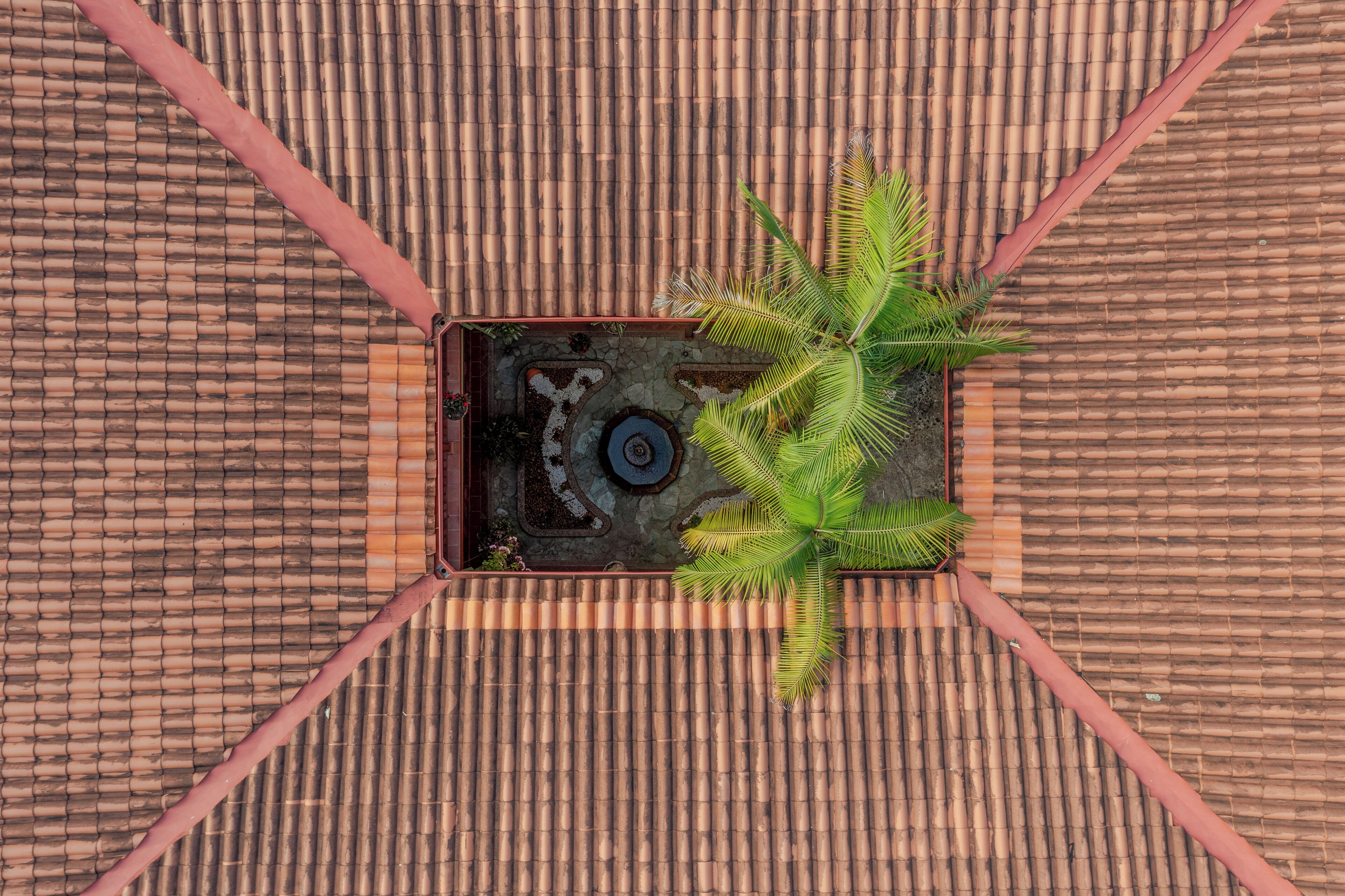 Terraço no telhado com um canteiro retangular contendo uma palmeira, cercado por uma cerca de bambu.