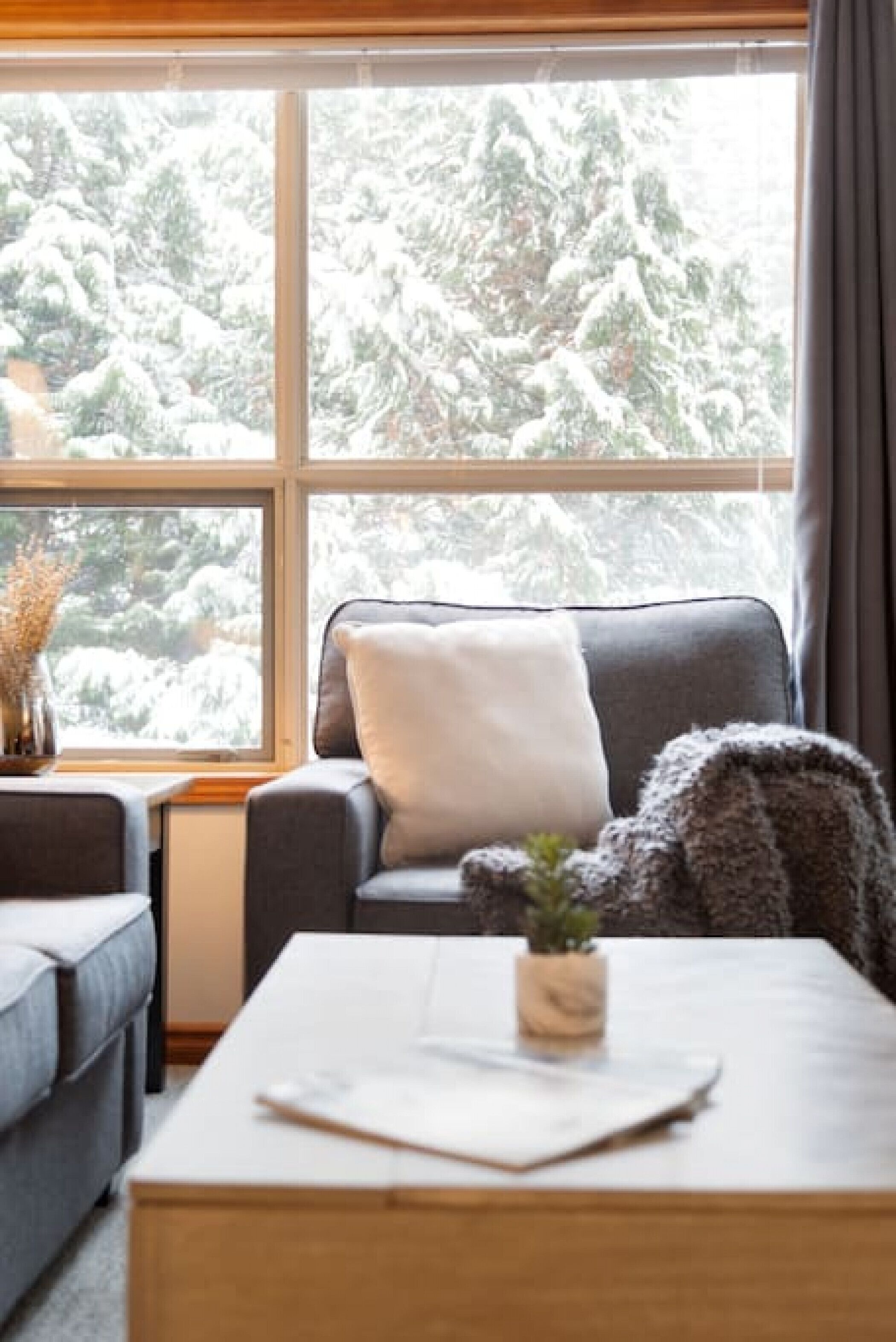 Ski Hill Lookout: True Ski-in/out, 3hts, Ski Valet - Whistler