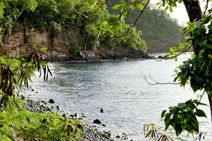 Cena costeira com um pequeno edifício numa costa rochosa, rodeado por vegetação exuberante e um mar calmo.