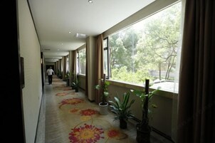 Corredor de hotel com carpete floral, plantas em vasos e janelas amplas com vista para árvores.