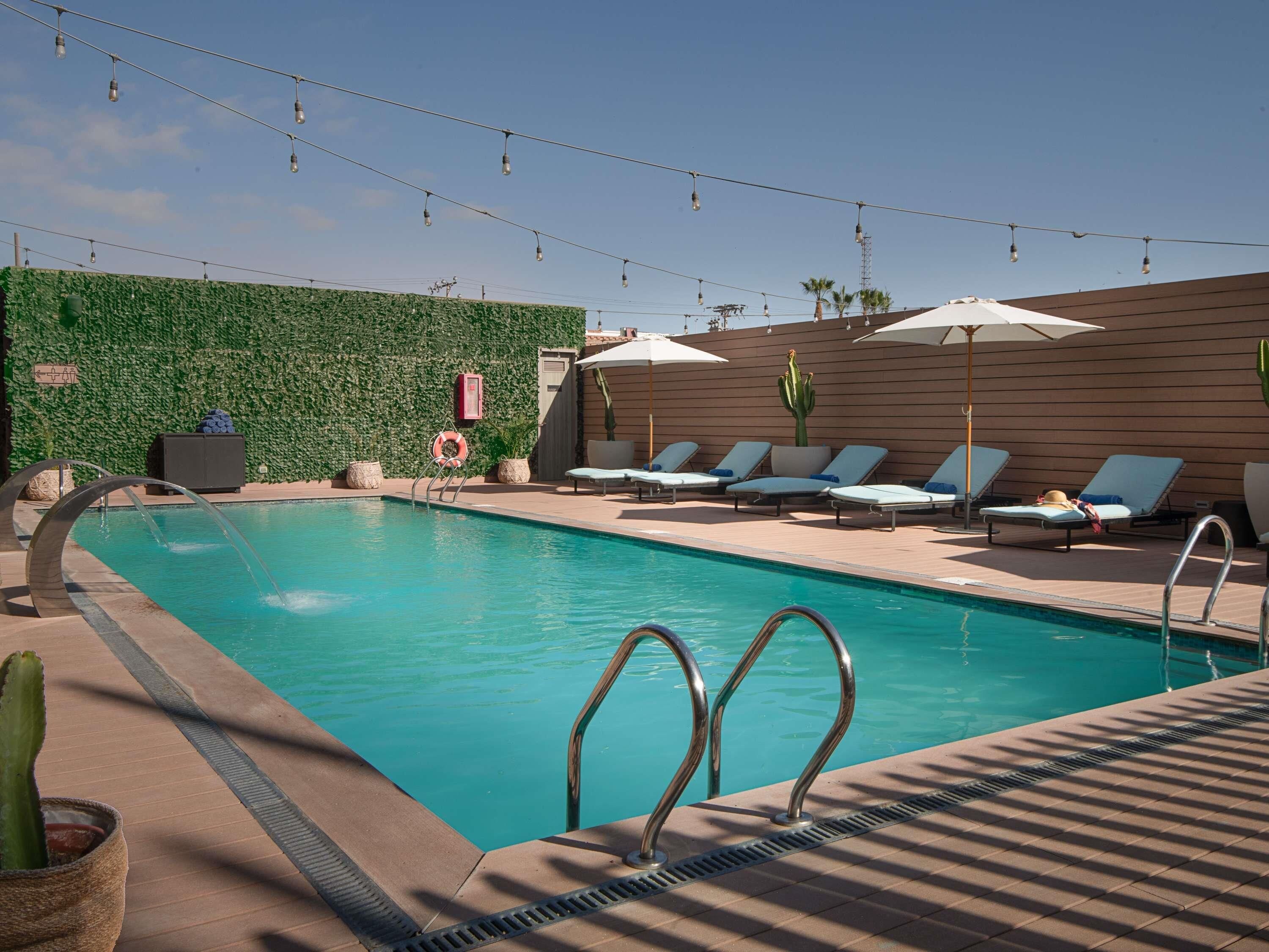 Piscina com espreguiçadeiras e guarda-sóis, um cacto e uma parede verde.