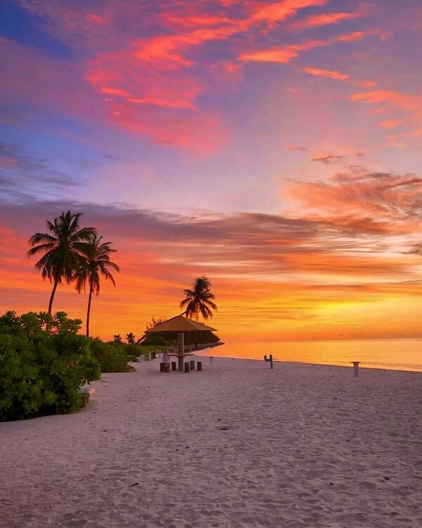 Blue Wave Guest House - Maldives