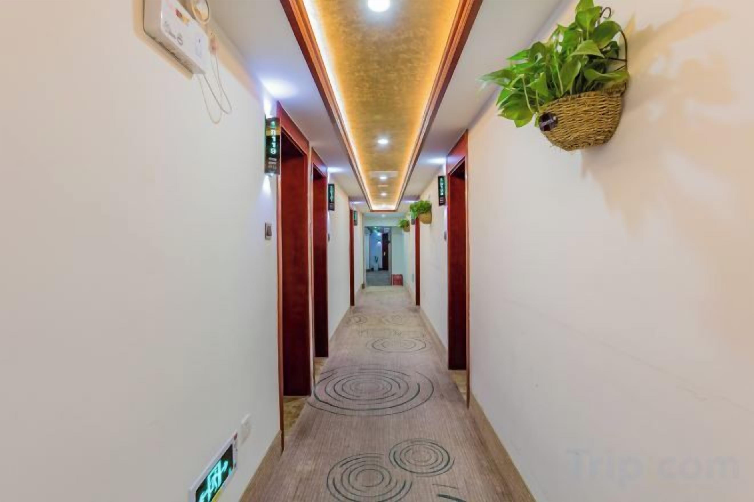 Um corredor de hotel com piso coberto por carpete, luminária no teto e planta fixada na parede.
