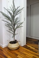 Detalhe da parte interna