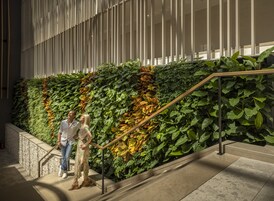 Uma escadaria com corrimão de metal e uma parede coberta por folhagem verde.
