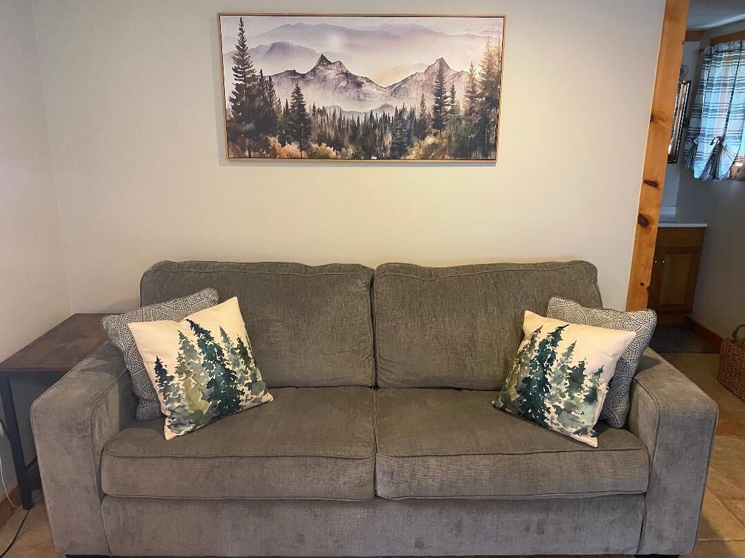 Close Location To Ski Resorts! Great Summer Rental Quick Walk To  Pool & Beach - Towamensing Trails