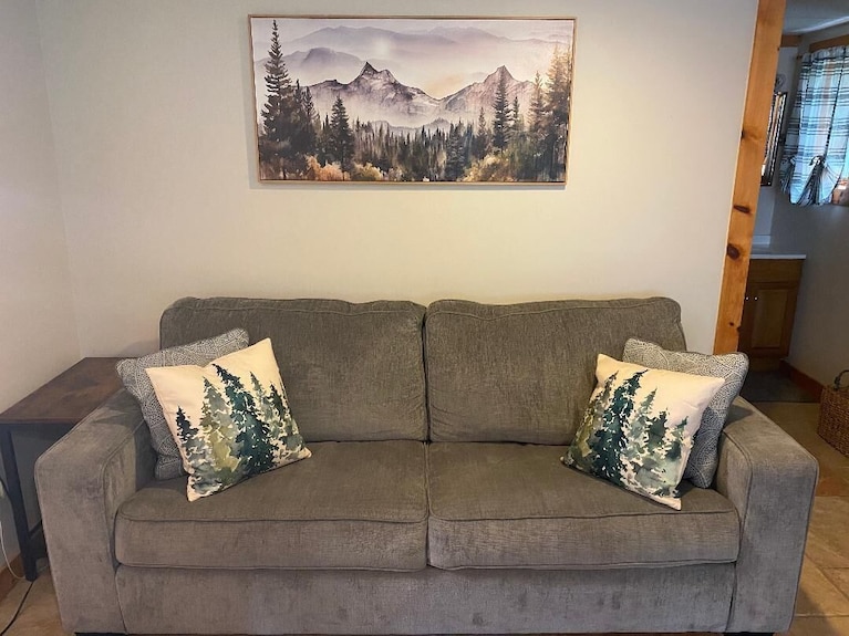 Close Location To Ski Resorts! Great Summer Rental Quick Walk To Pool & Beach - Towamensing Trails