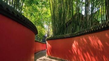 Terrenos do alojamento