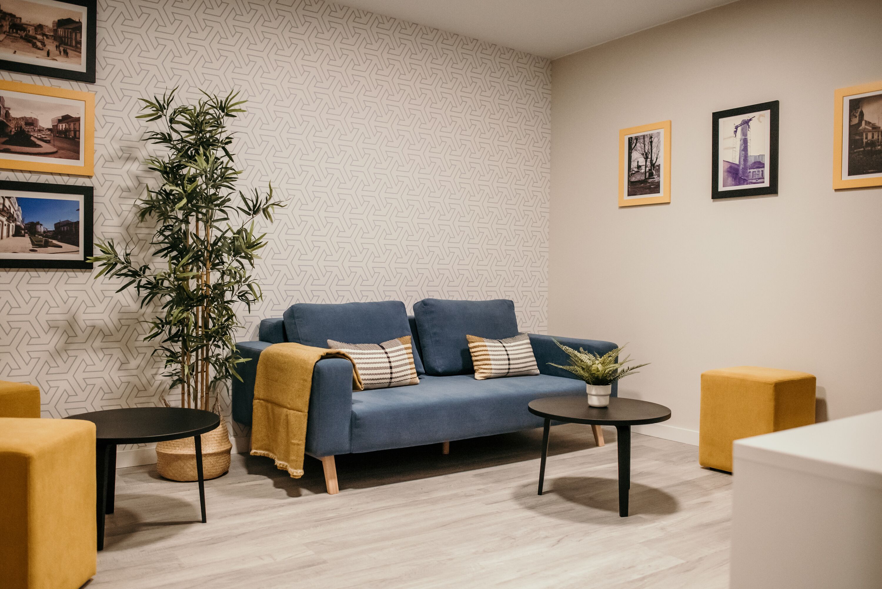 Uma sala de estar moderna com um sofá azul, duas mesas redondas e uma grande planta em vaso.