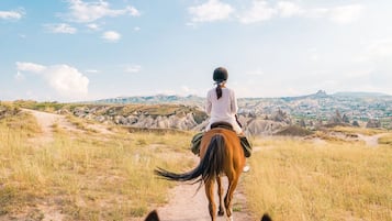 Passeios a cavalo