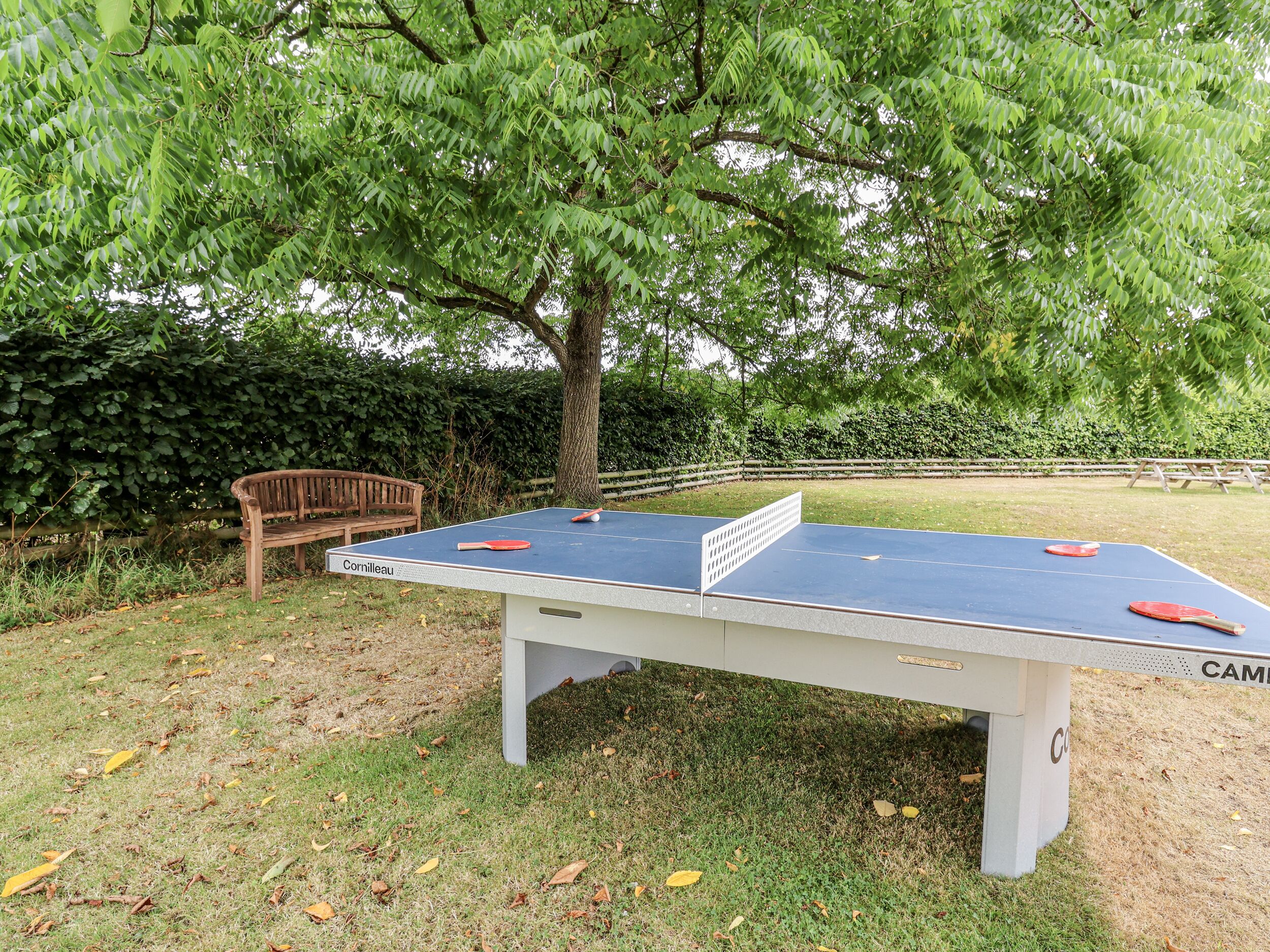 Mesa de tênis de mesa com estrutura branca e superfície de jogo azul, cercada por grama e árvores.