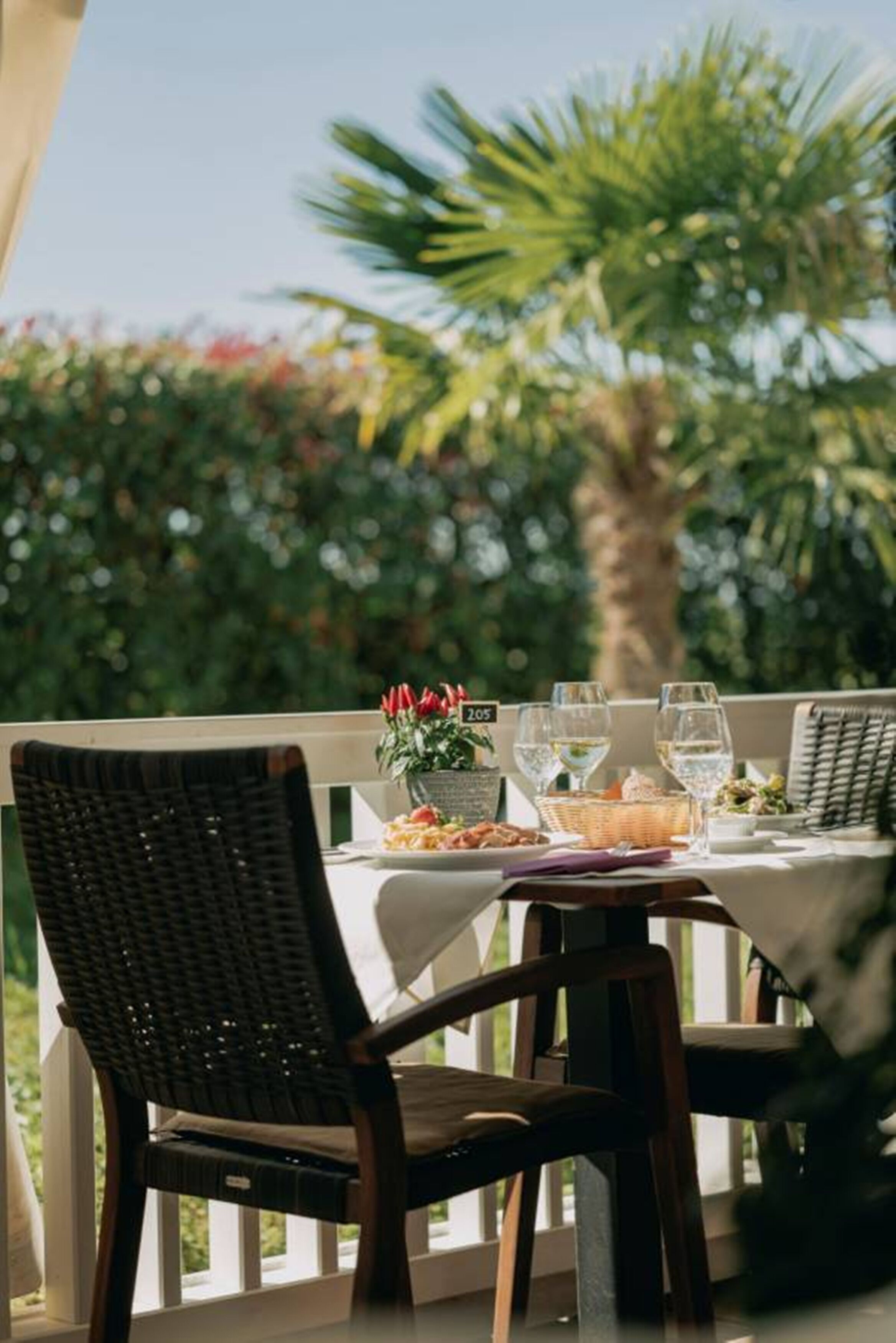 Mesa de jantar ao ar livre com cadeiras, uma pequena planta em vaso e uma placa com o número 205.