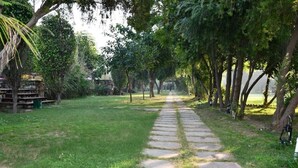 Uma trilha de pedra serpenteia por um jardim exuberante, ladeada por árvores.