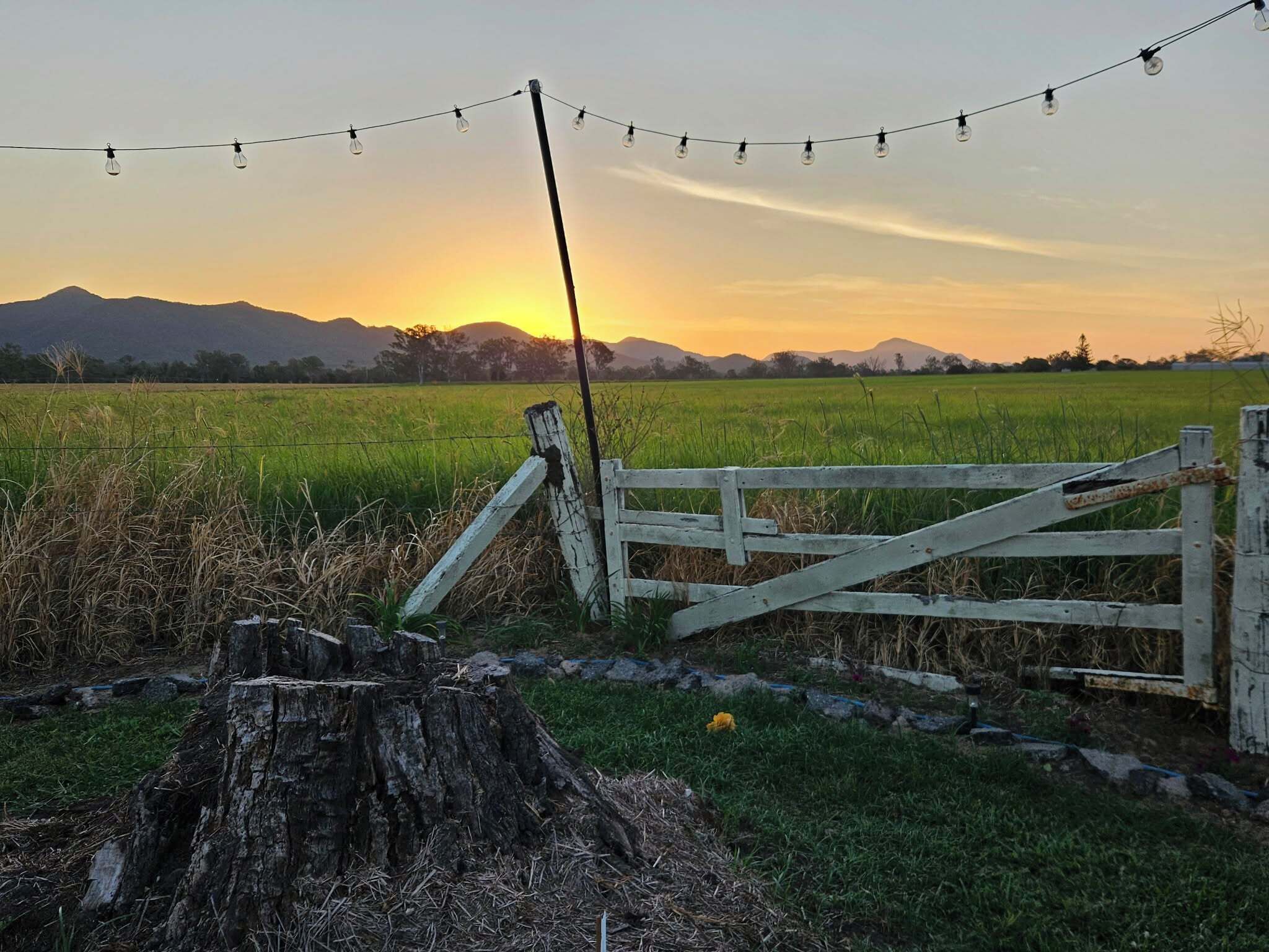 Paisagem rural com um portão de madeira, toco de árvore e uma fileira de luzes ao pôr do sol.