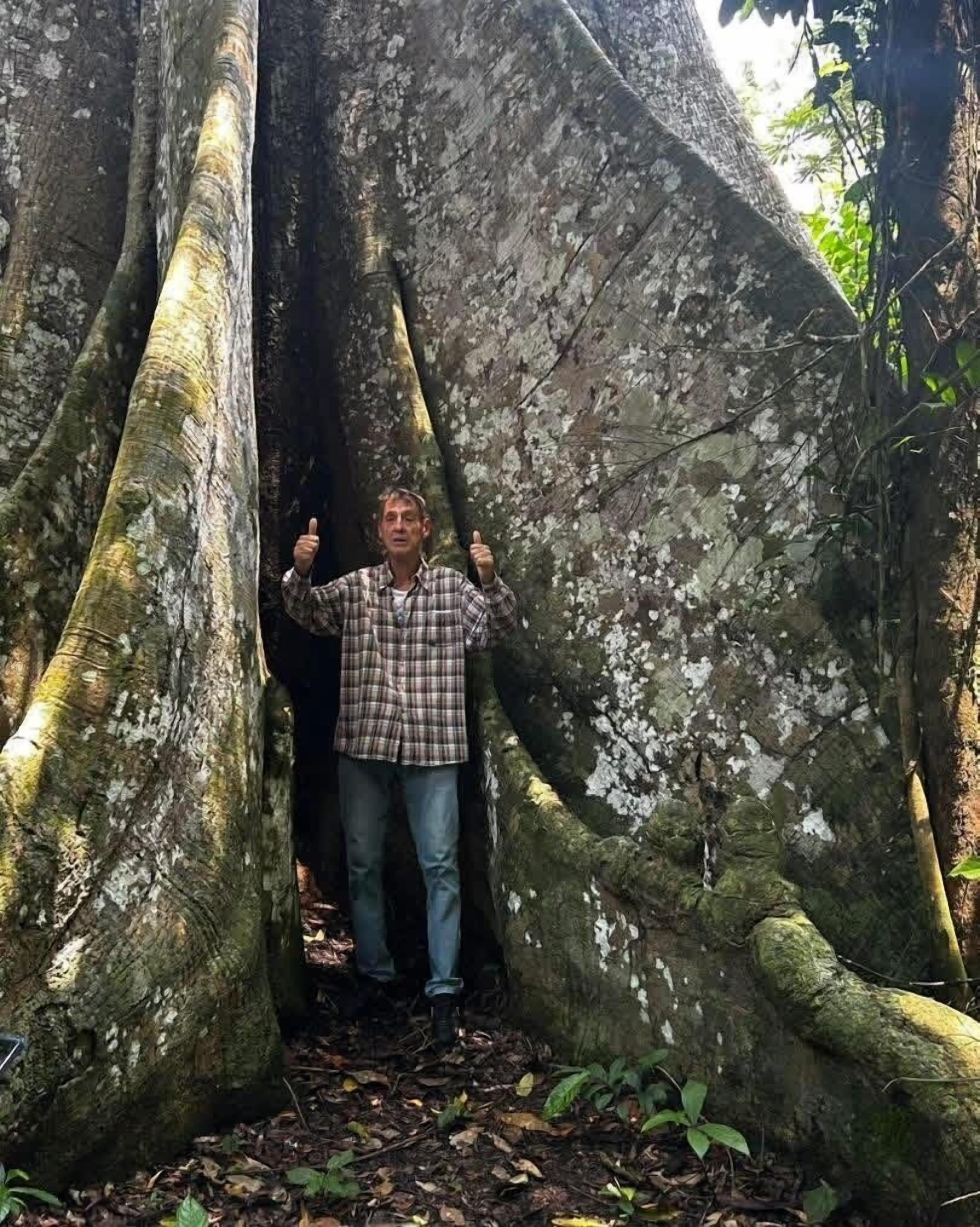 Um homem em um ambiente natural com grandes raízes de árvore.