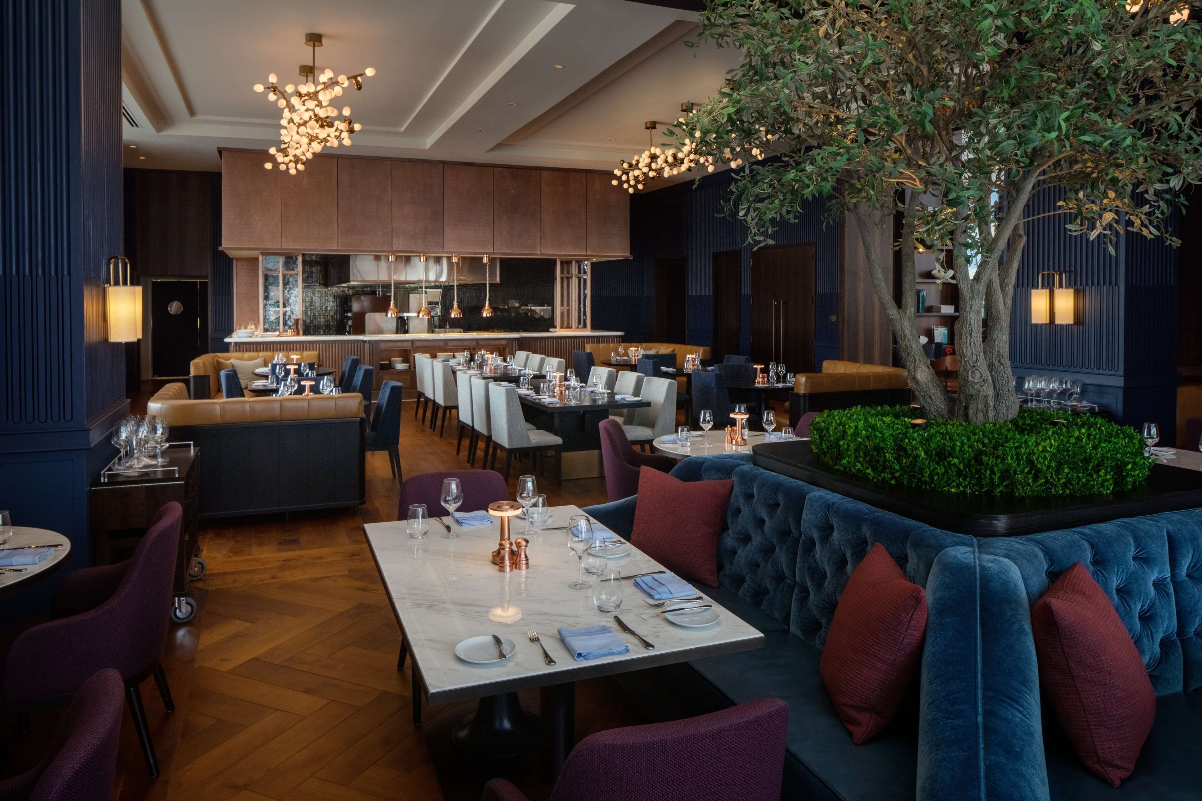 Restaurante com área de refeições central, bar e área de estar com árvore e sebe.