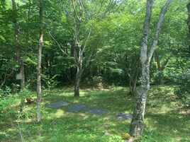 Uma área arborizada com árvores e um comedouro de pássaros.