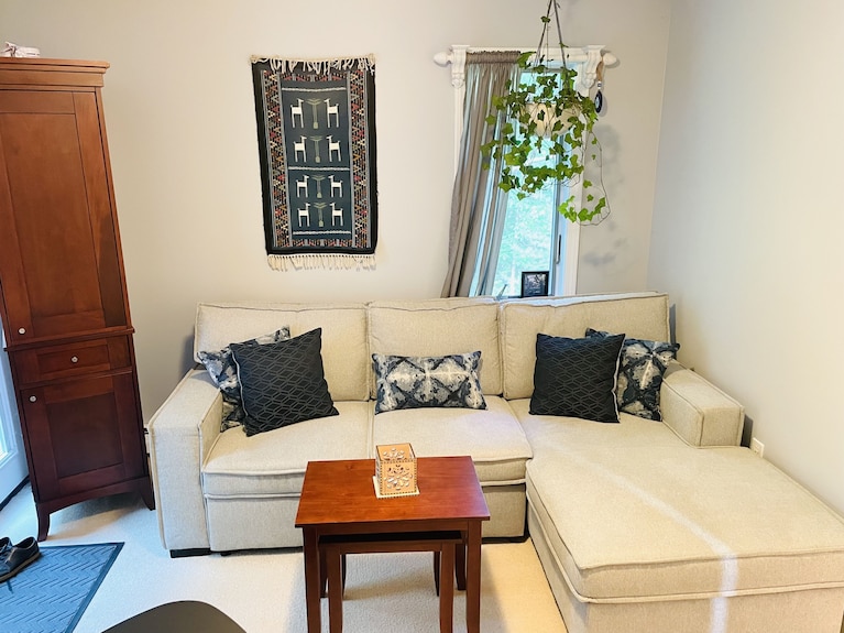 Luxurious Spa Suite With Jacuzzi, Outdoor Sauna, Plunge Pool And Steam-bath - Newmarket, NH