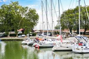 Uma marina com vários veleiros atracados, rodeada por árvores e edifícios.