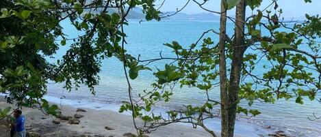 Uma praia com águas cristalinas, pedras e árvores.