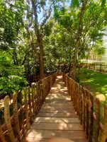 Jardim