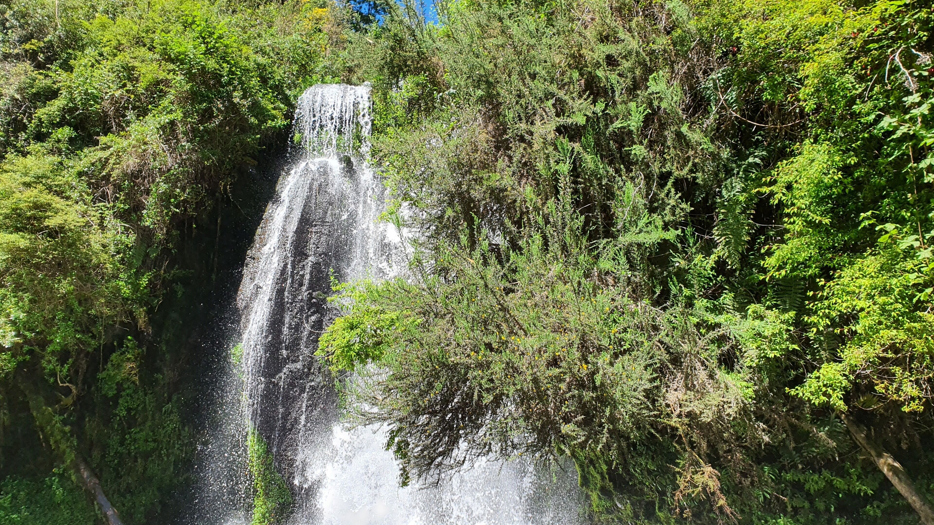 Uma cascata rodeada por vegetação verde densa.