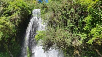 Uma cascata rodeada por vegetação verde densa.