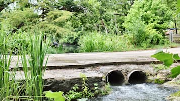 Uma ponte de concreto sobre um riacho, com duas túneis, cercada por vegetação exuberante e árvores.
