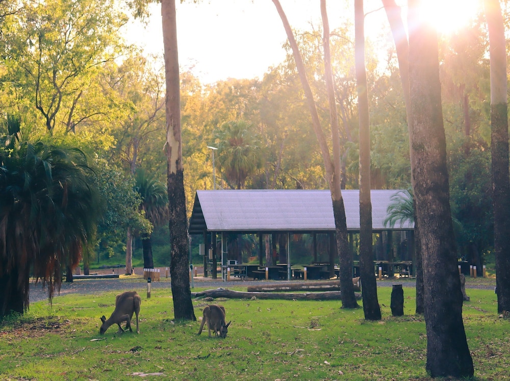 Big4 Breeze Holiday Parks - Carnarvon Gorge - Queensland