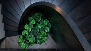 Escada em espiral com acabamento escuro e um vaso circular com folhagem verde na base.