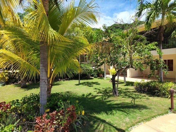 Área da propriedade