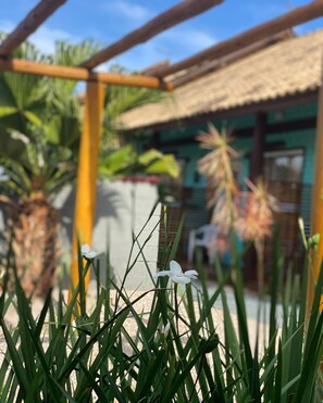 Jardim
