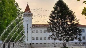 Uma fonte com jatos de água em frente a um edifício com uma torre de relógio e uma grande árvore.