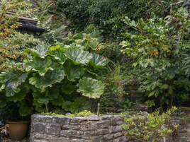 Casa de Campo | Interior