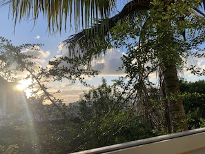 Vista de um jardim exuberante com palmeiras e vegetação densa, com o sol se pondo ao fundo.