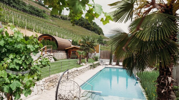 Área da piscina com deck de pedra, uma cadeira suspensa e vista para um vinhedo.