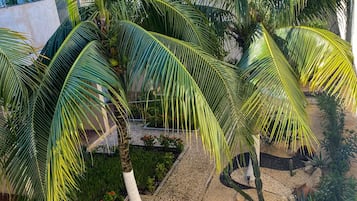 Terrenos do alojamento