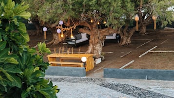 Jardim