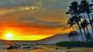Uma praia com pôr do sol, palmeiras e ondas calmas.