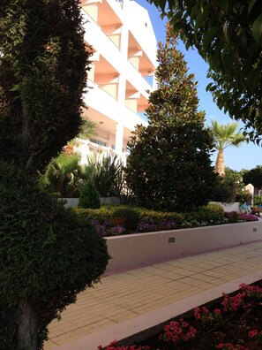Jardim
