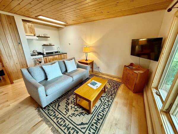 Thomsonite Beach Inn - Grand Marais, MN