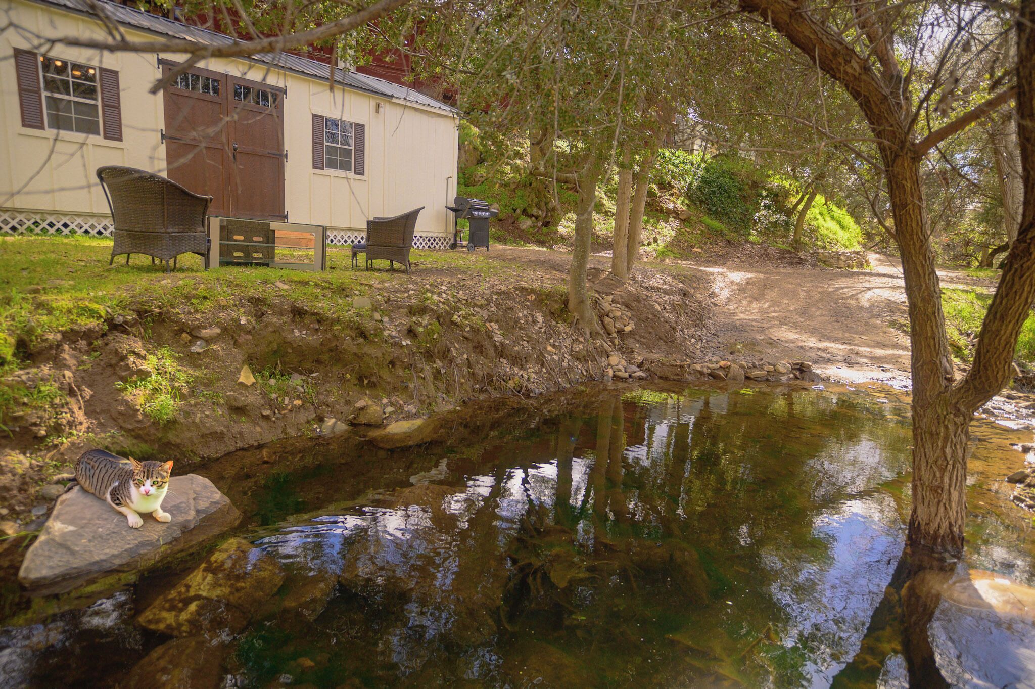 Cabana de Madeira Panorâmica | Com decoração personalizada, com mobília individualizada, Wi-fi grátis 