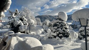 Paisagem coberta de neve com árvores e uma montanha ao fundo.