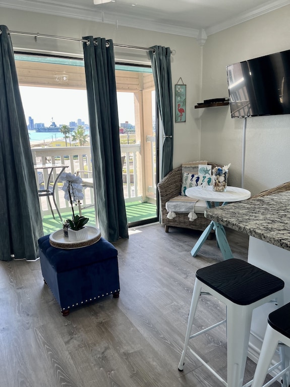 Newly Renovated Beach Condo With Views Of The Ocean And Downtown Corpus Christi! - Texas State Aquarium, Corpus Christi