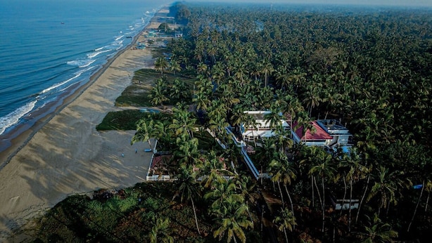 Vista aérea de uma área costeira com praia, palmeiras e alguns edifícios.