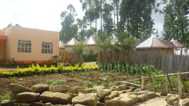 Um edifício com teto plano e grandes janelas, cercado por um jardim com diversas plantas e uma cerca de madeira.